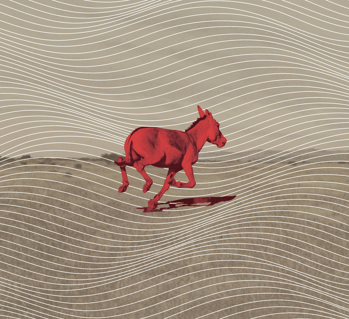 zArAme、初のフルレングス・アルバム『 1 』を明日発売＆リリース記念ツアーも開催決定！ - ニュース | Rooftop